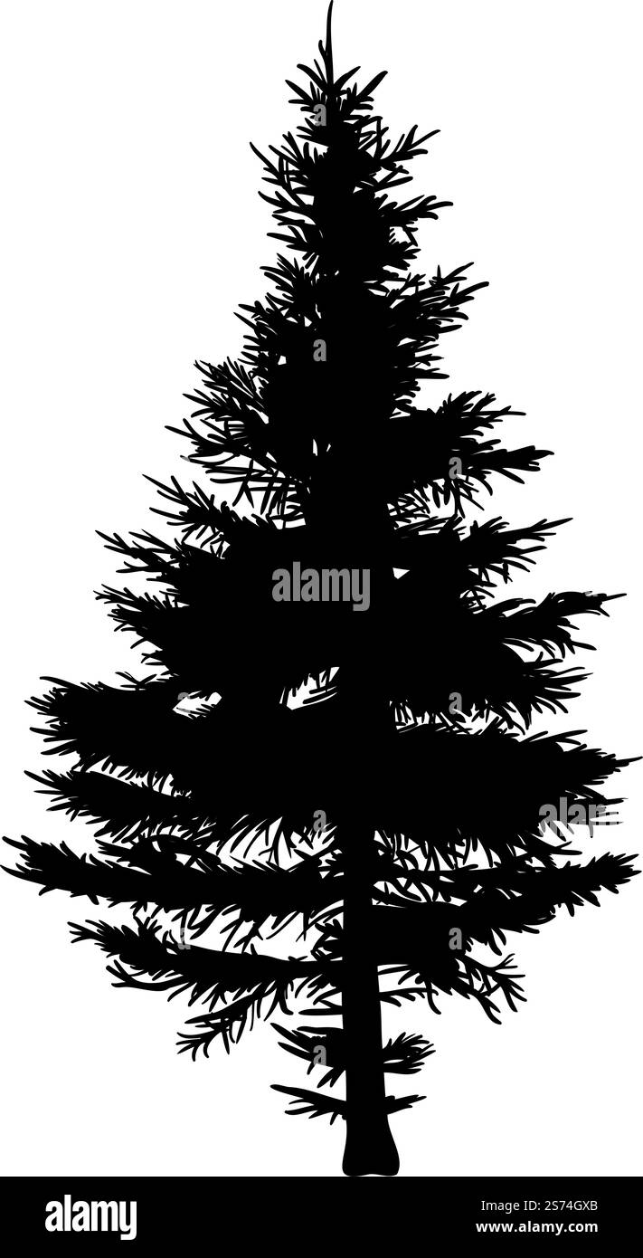 Silhouette of fir tree. Detailed silhouette for making different ...