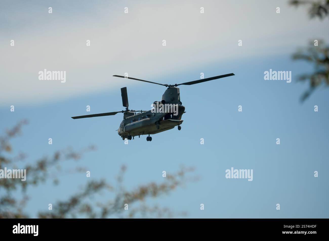 RAF Boeing CH-47 Chinook tandem-rotor helicopter flying fast and low in ...