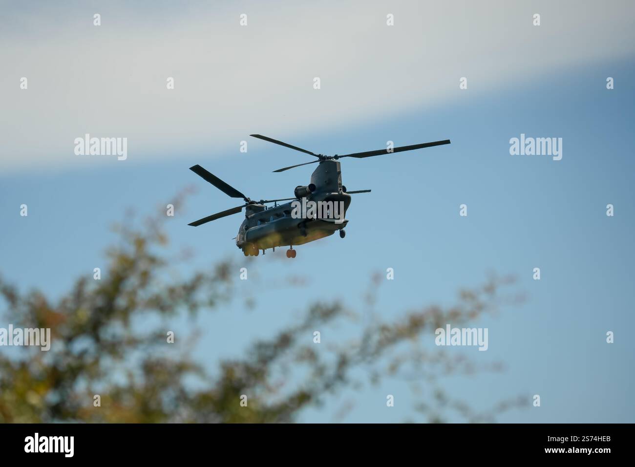RAF Boeing CH-47 Chinook tandem-rotor helicopter flying fast and low in ...