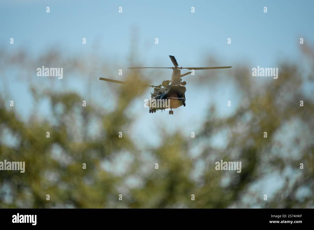 RAF Boeing CH-47 Chinook tandem-rotor helicopter flying fast and low in ...