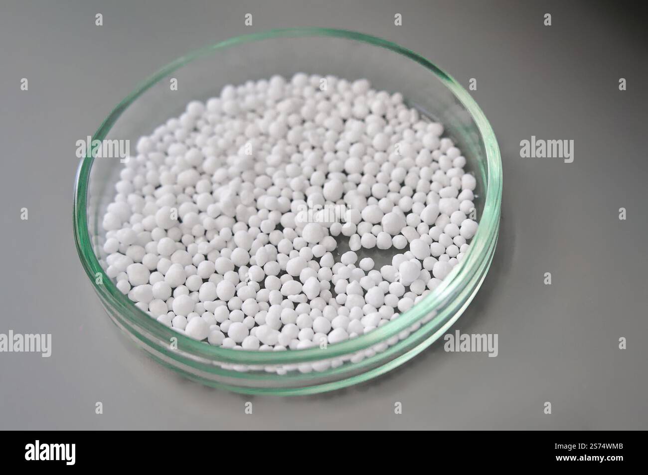White granules displayed in a glass dish, showcasing their texture and ...