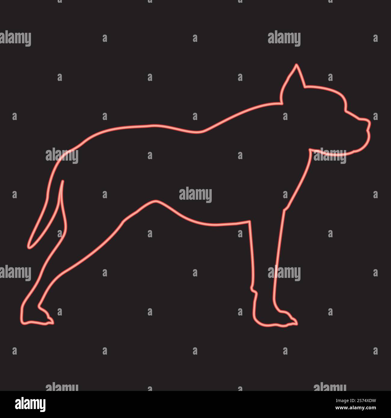Neon pit bull terrier red color vector illustration image flat style ...