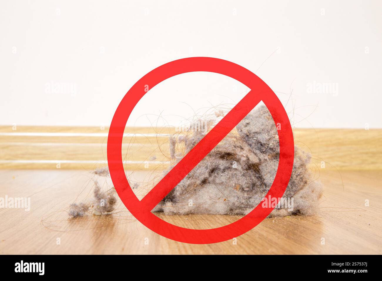 Dust and lint pile with a red prohibition sign symbolizing cleanliness ...
