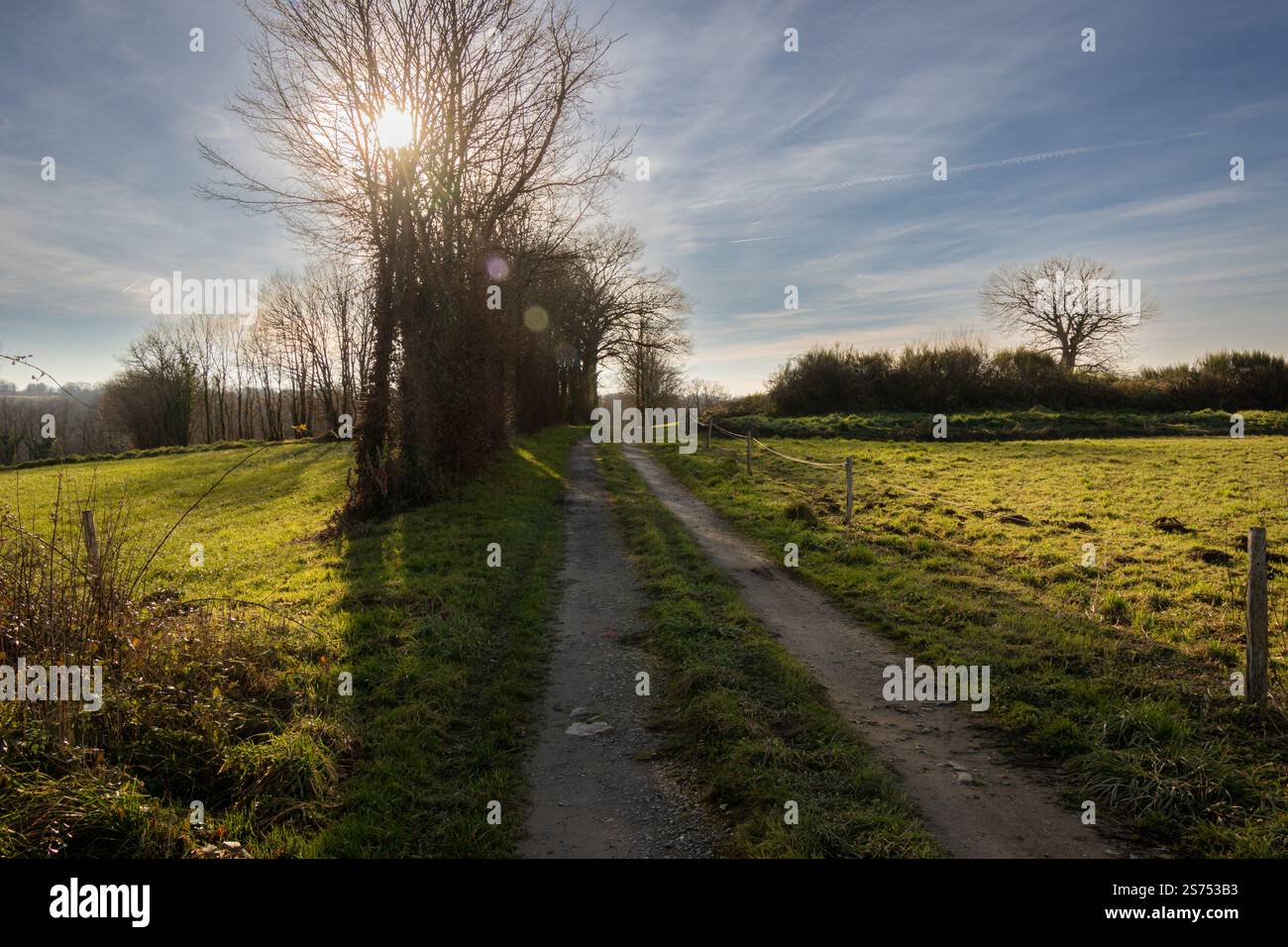 A farm track in the countryside on a sunny. winter's day with the sun ...