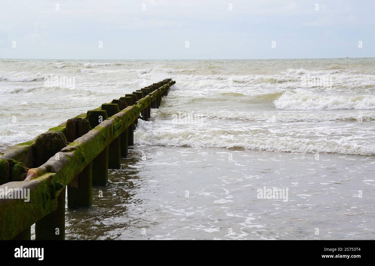 View of sea and wooden wave breakers from Seaford beach, East Sussex ...