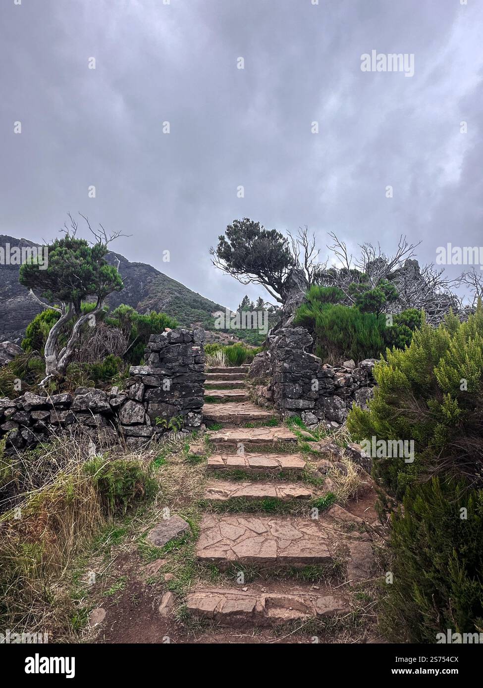 Madeira island Portugal PR1 Pico do Arieiro mountains hiking trekking ...