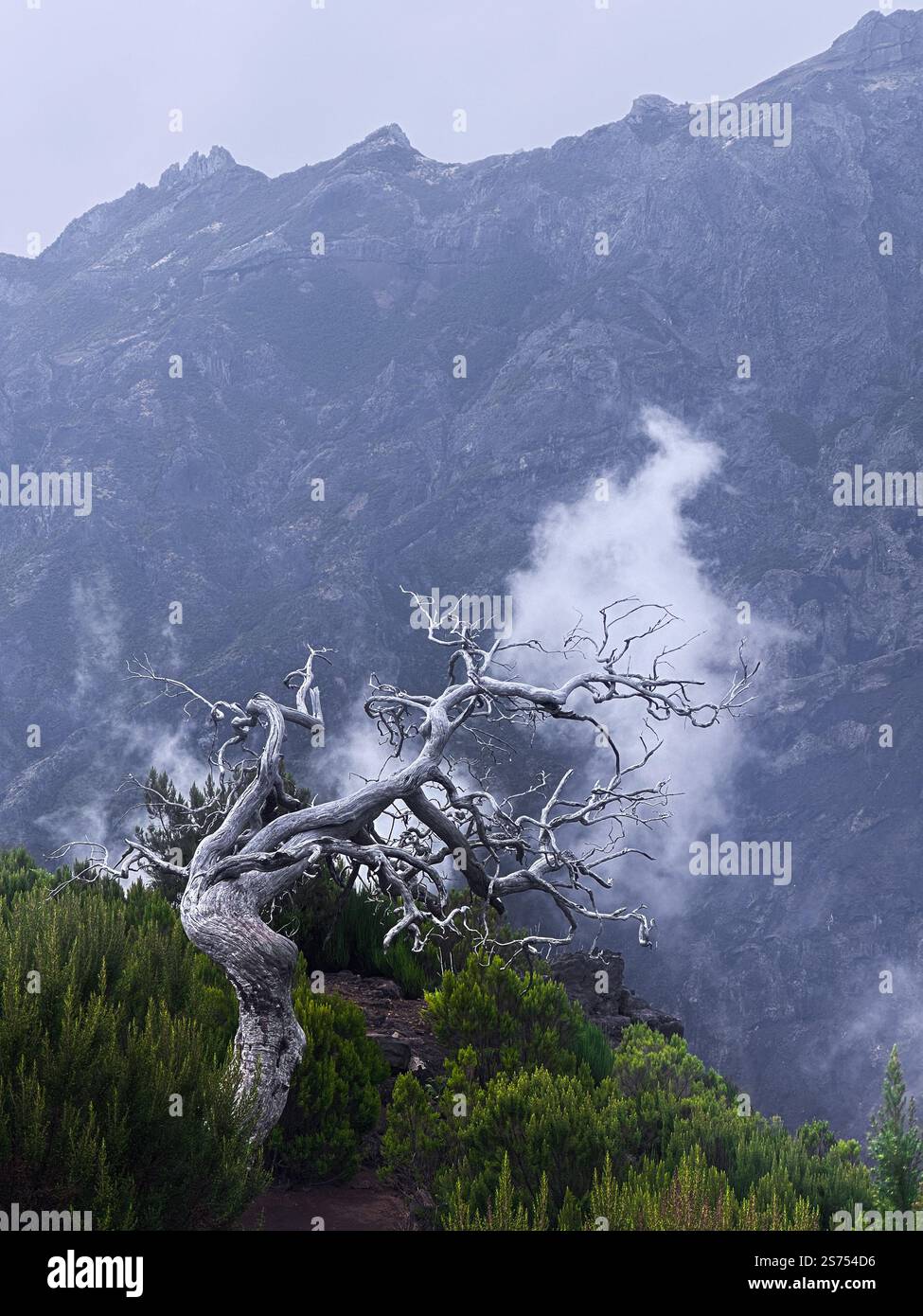 Madeira island Portugal PR1 Pico do Arieiro mountains cliff hill rough ...