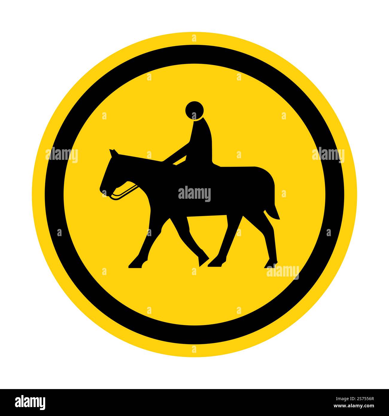 Beautiful white horse on farm Cut Out Stock Images & Pictures - Alamy