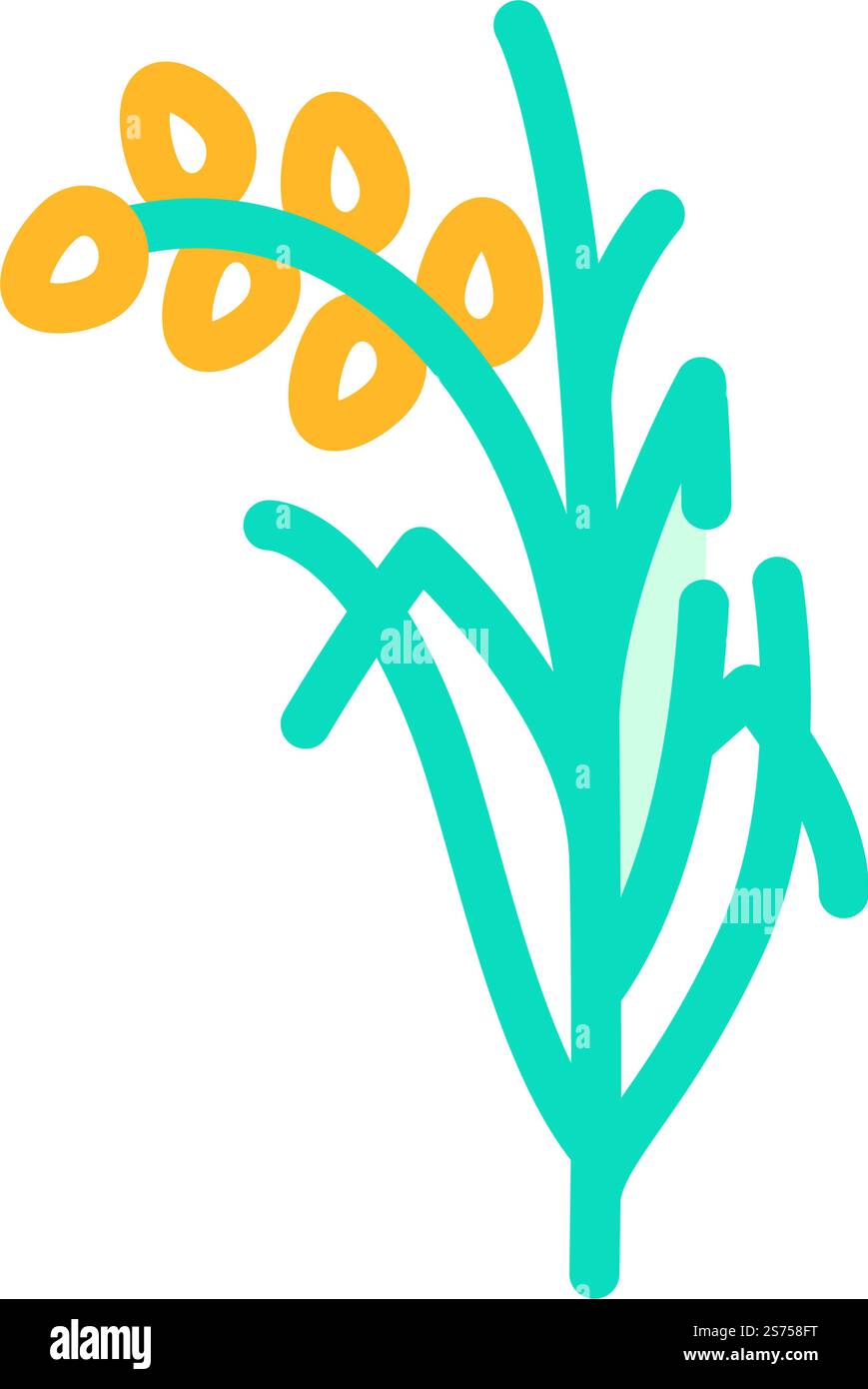 rice plant healthy color icon vector. rice plant healthy sign. isolated ...