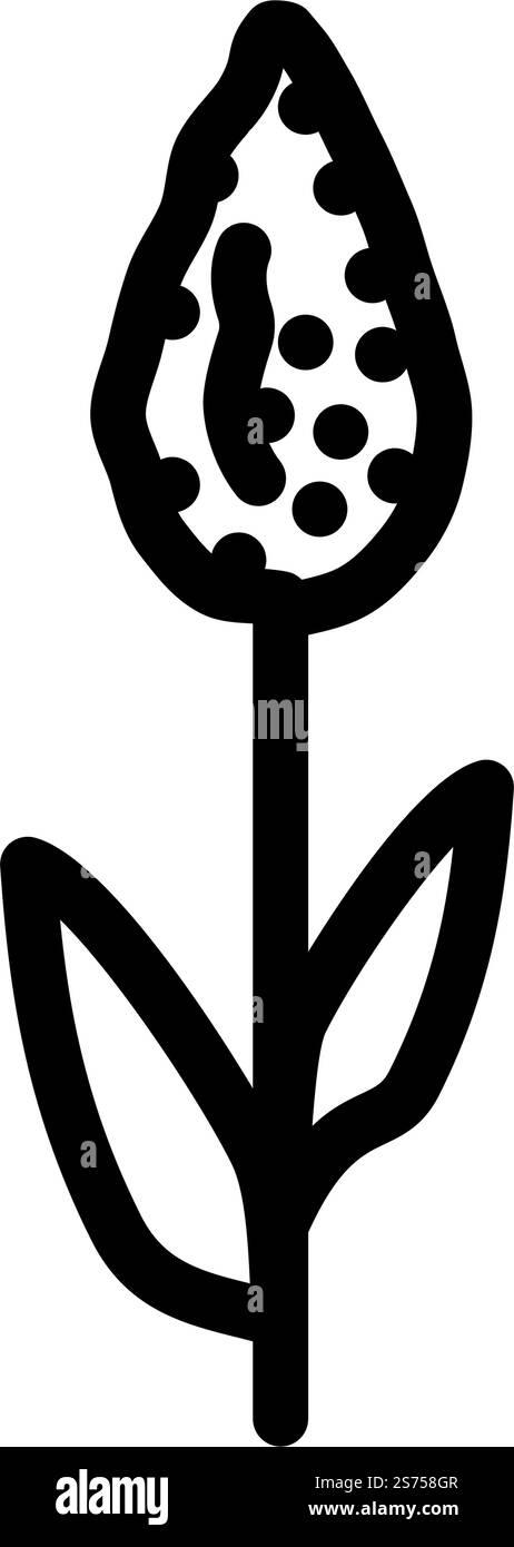 sorghum plant food line icon vector. sorghum plant food sign. isolated ...