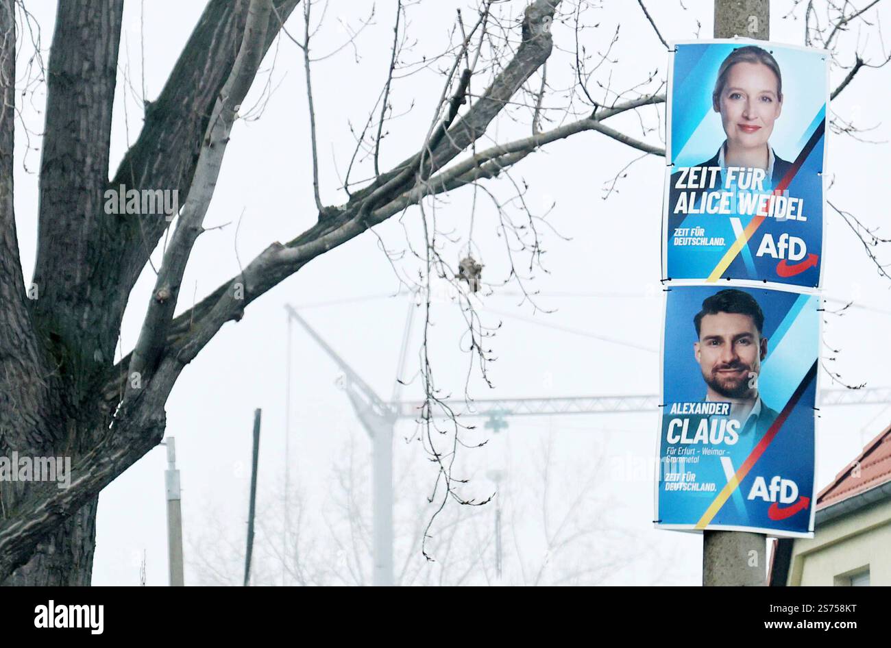 Wahlplakate 18.01.2025, Erfurt, Wahlplakate zur Bundestagswahl / Wahl ...