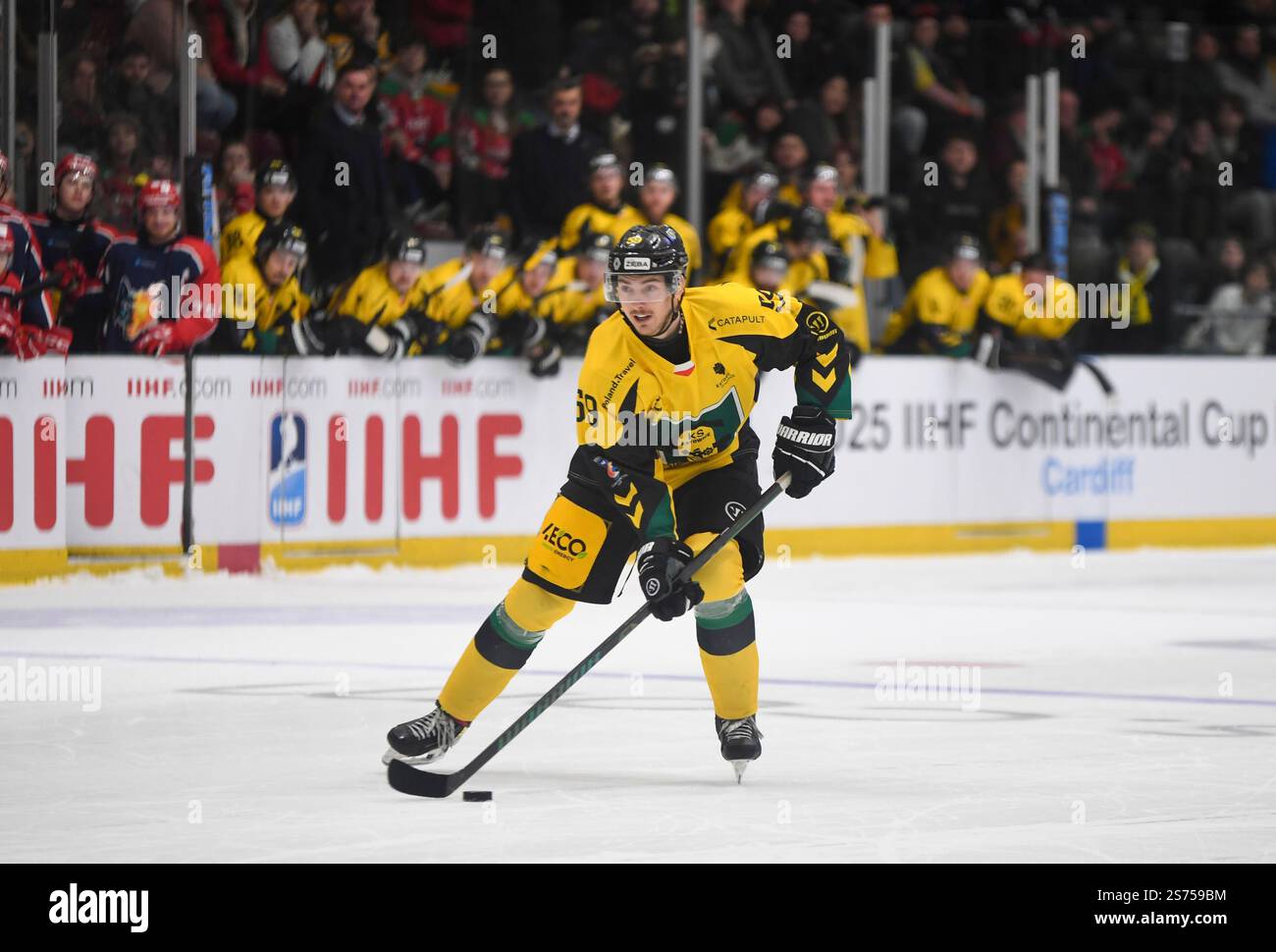 Vindico Arena, Cardiff, UK. 18th Jan, 2025. IIHF Continental Cup Ice Hockey, Bruleurs de Loups ...