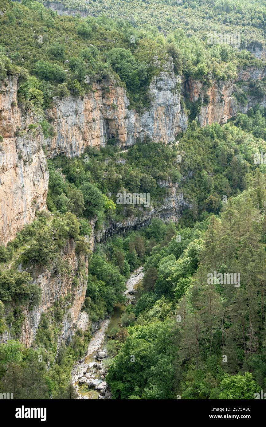 tree lined rock outrcrops and glacial formations, gorges and canyons in ...