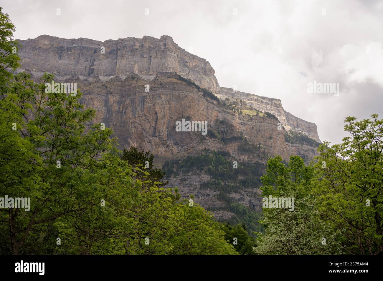 tree lined rock outrcrops and glacial formations, gorges and canyons in ...