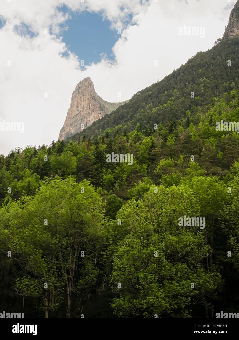 tree lined rock outrcrops and glacial formations, gorges and canyons in ...