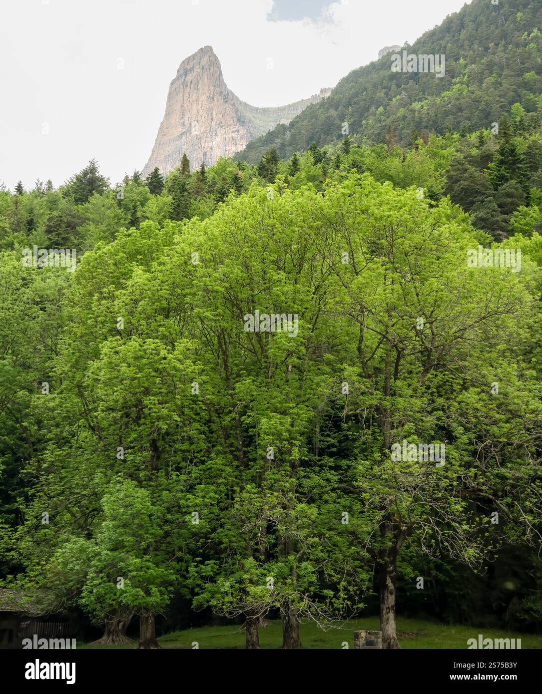tree lined rock outrcrops and glacial formations, gorges and canyons in ...