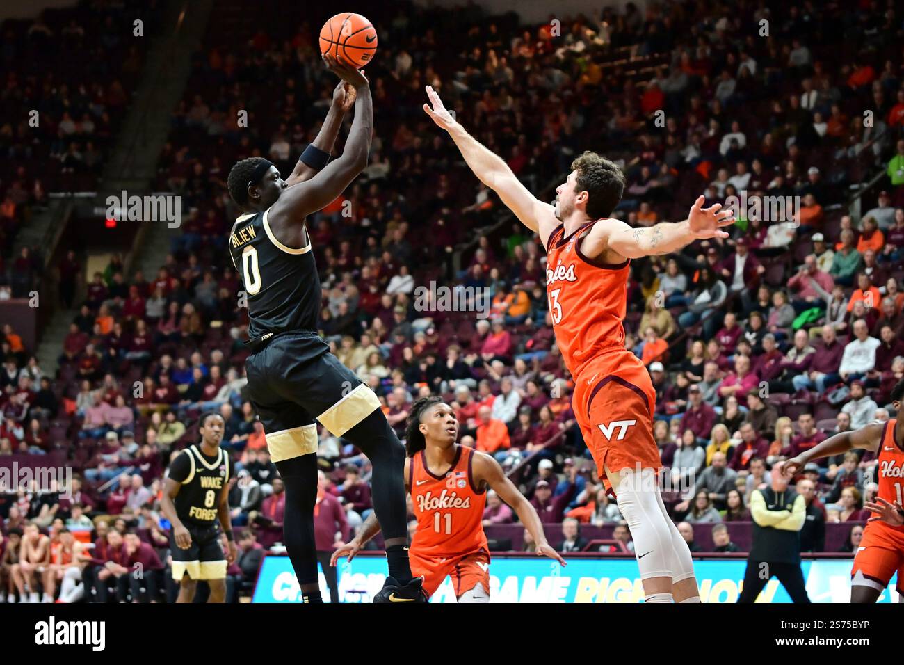 BLACKSBURG, VA - JANUARY 18: Wake Forest Demon Deacons forward Omaha ...