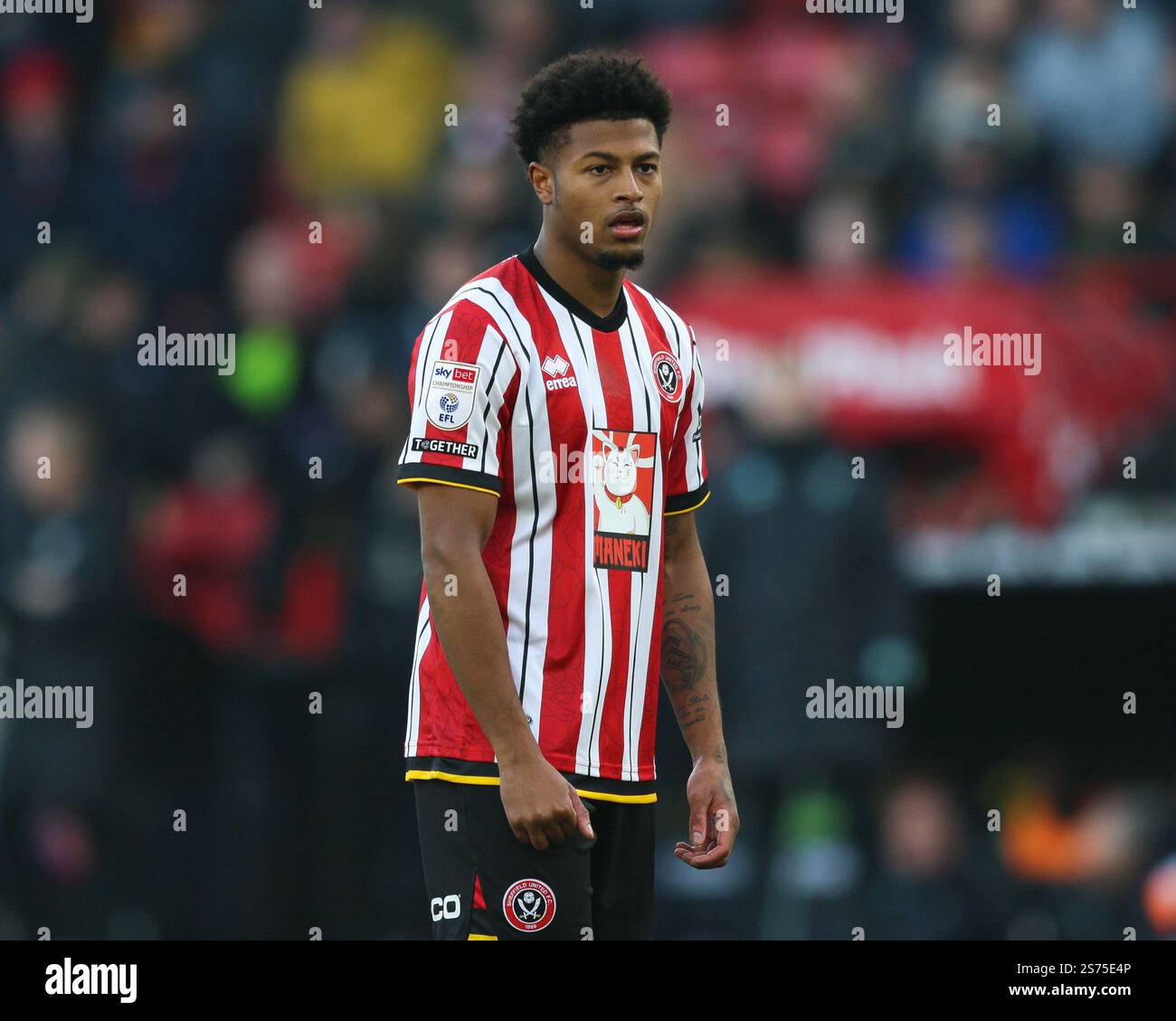 Sheffield, UK. 18th Jan, 2025. Rhian Brewster of Sheffield United ...