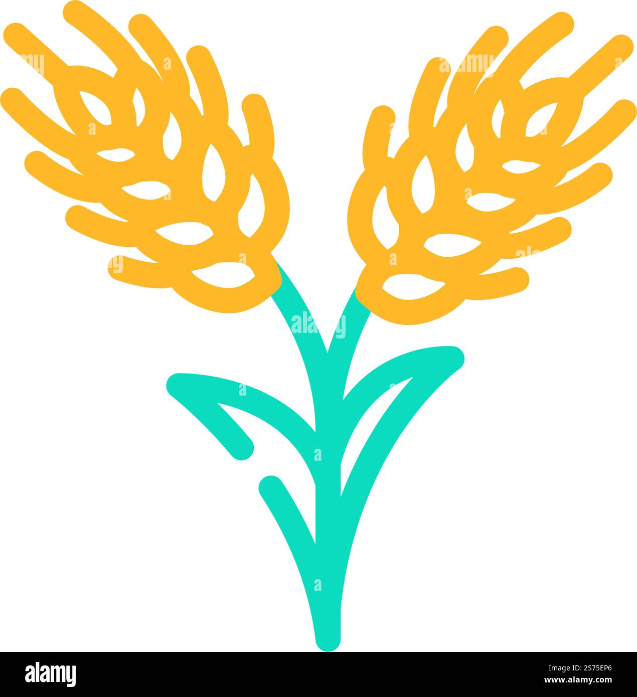 rye plant food color icon vector. rye plant food sign. isolated symbol ...