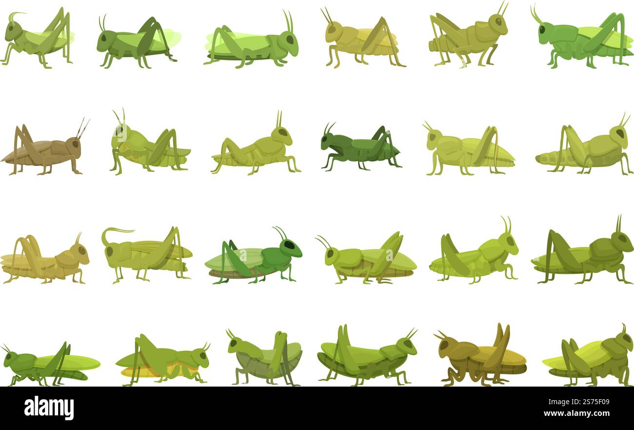 Grasshopper icons set cartoon vector. Bug animal. Nature insect ...