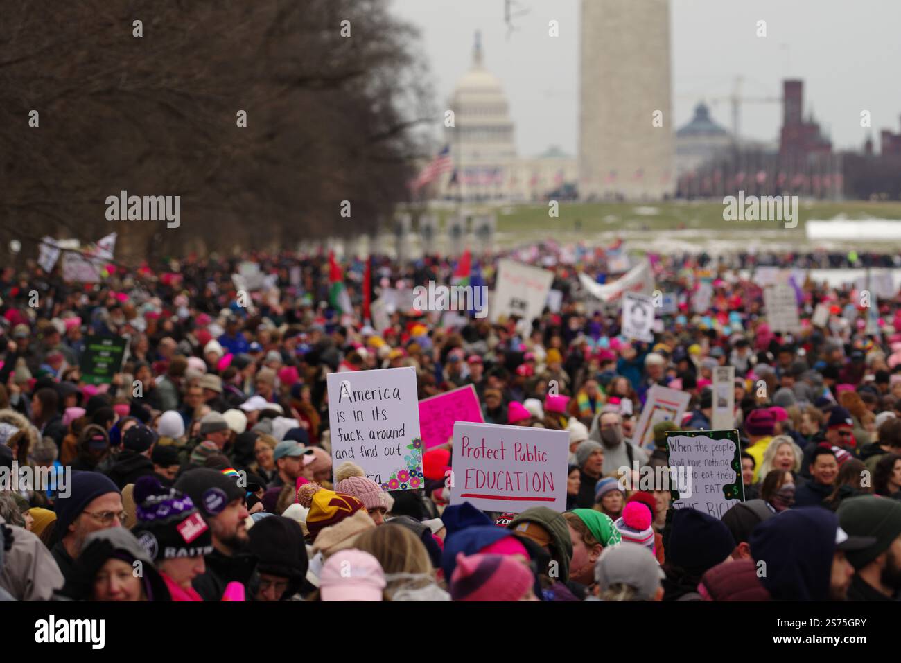 People's march on national mall hi-res stock photography and images - Alamy