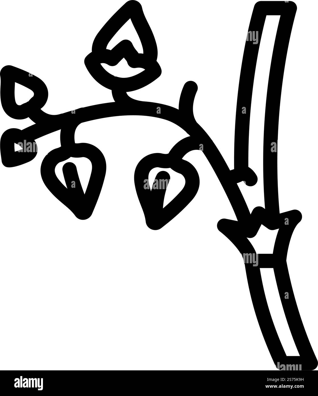 buckwheat plant healthy line icon vector. buckwheat plant healthy sign ...