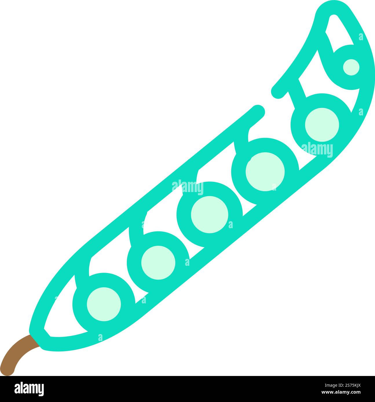 pea plant healthy color icon vector. pea plant healthy sign. isolated ...