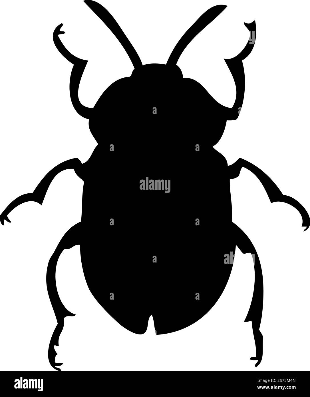 Silhouette of beetle. Beetle close-up detailed. Vector beetle icon on ...