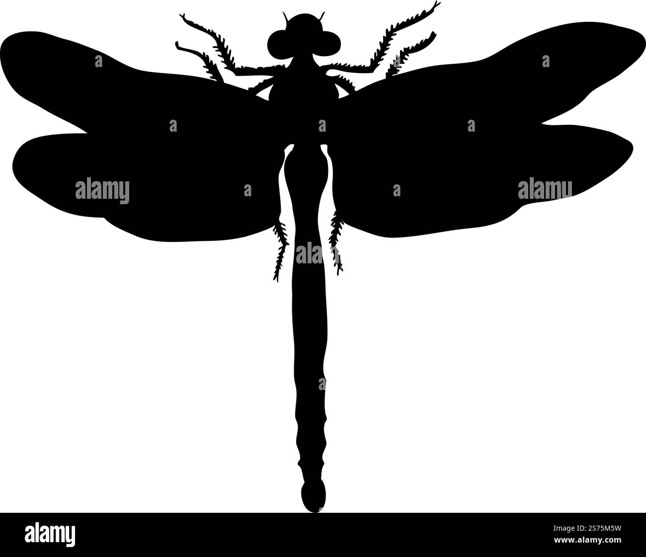 Silhouette of dragonfly. Dragonfly close-up detailed. Vector dragonfly ...