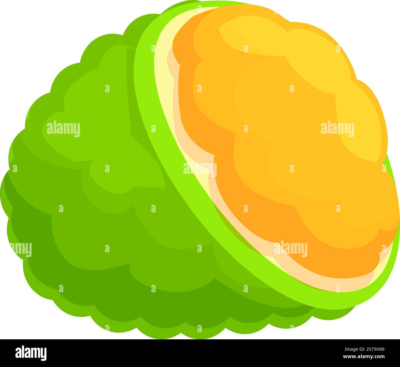 Jackfruit icon cartoon vector. Ripe food. Jack organic. Jackfruit icon ...