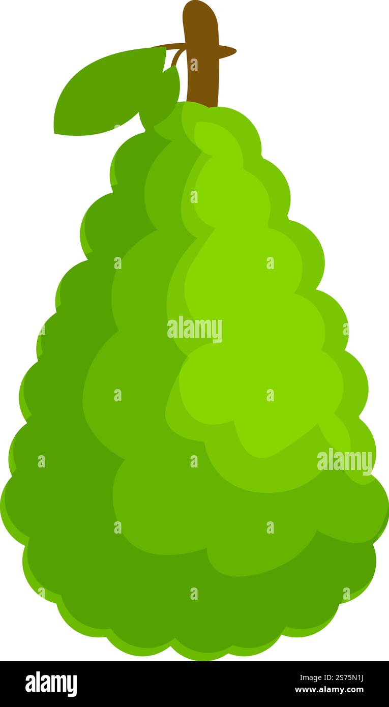 Whole jack fruit icon cartoon vector. Half food. Tropical dessert ...