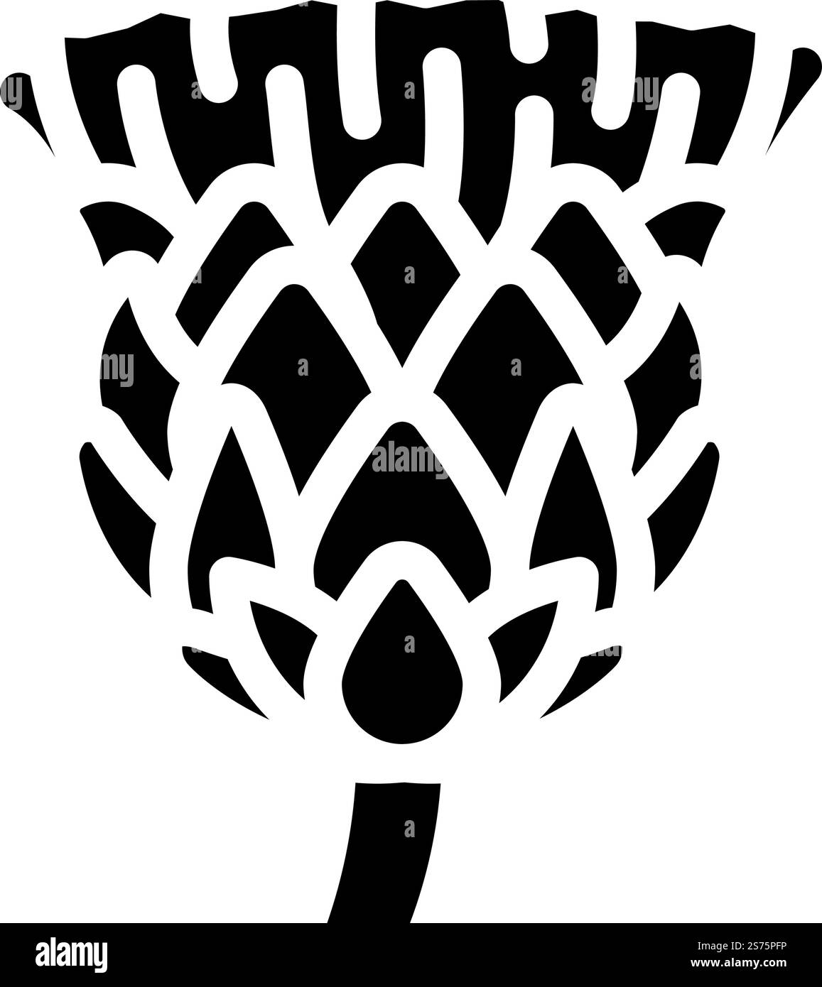 Fresh uncooked edible flower Black and White Stock Photos & Images - Alamy