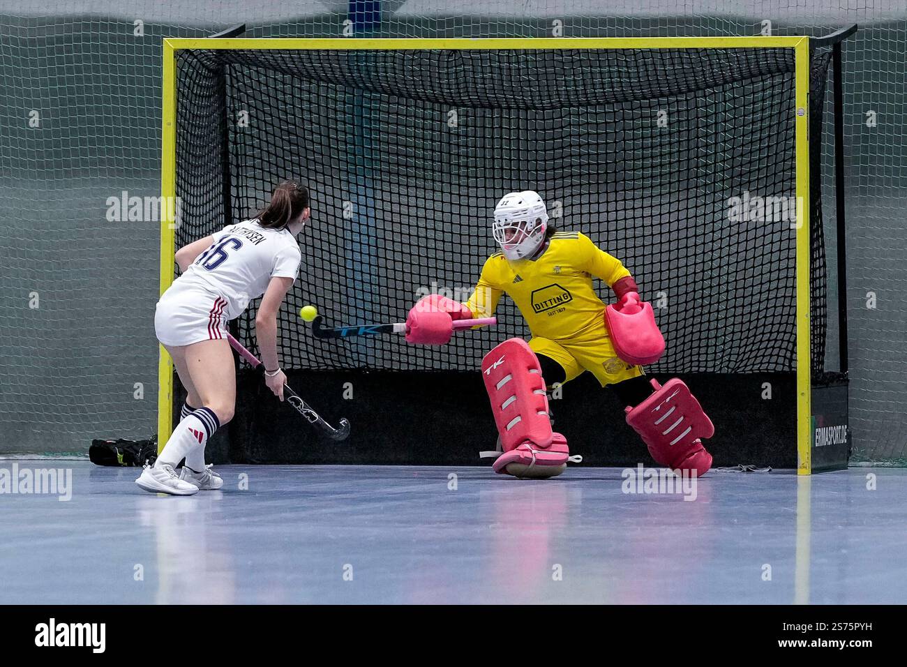 Mannheim, Deutschland. 18th Jan, 2025. v.li.: Alexine Matthysen (MHC ...
