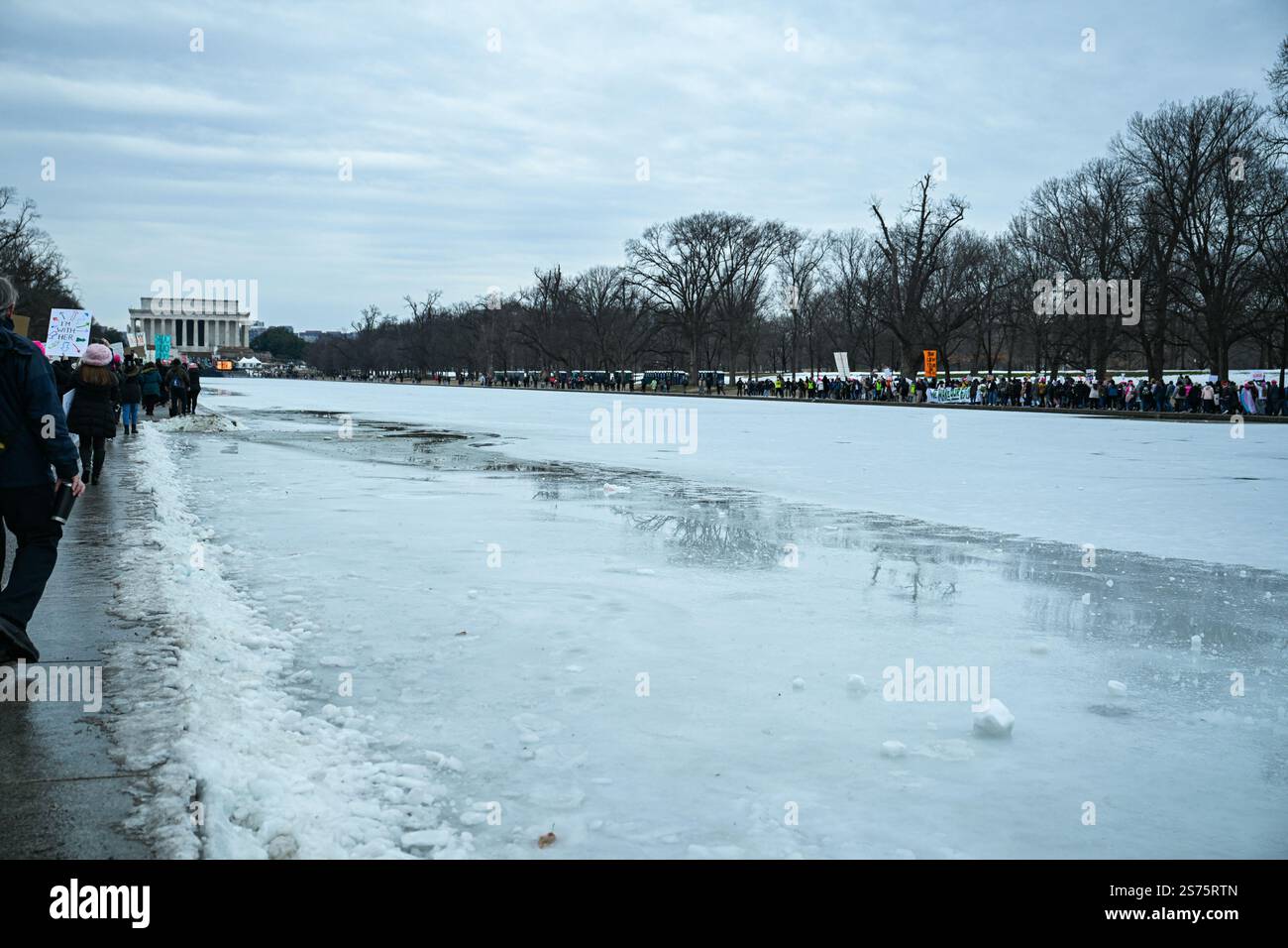 Washington, USA. 18th Jan, 2025. The People's March demonstrates in ...