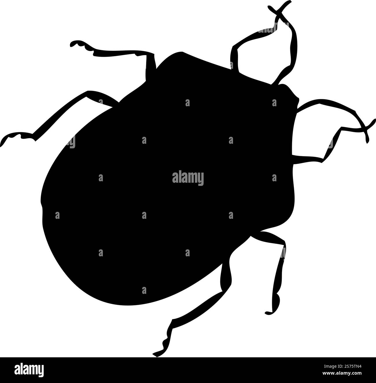 Silhouette of bug. Bug close-up detailed. Vector bug icon on white ...