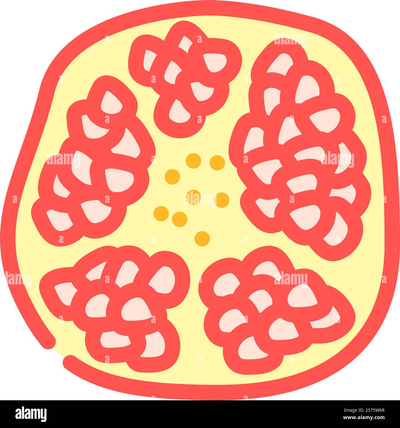 cut whole pomegranate color icon vector. cut whole pomegranate sign ...