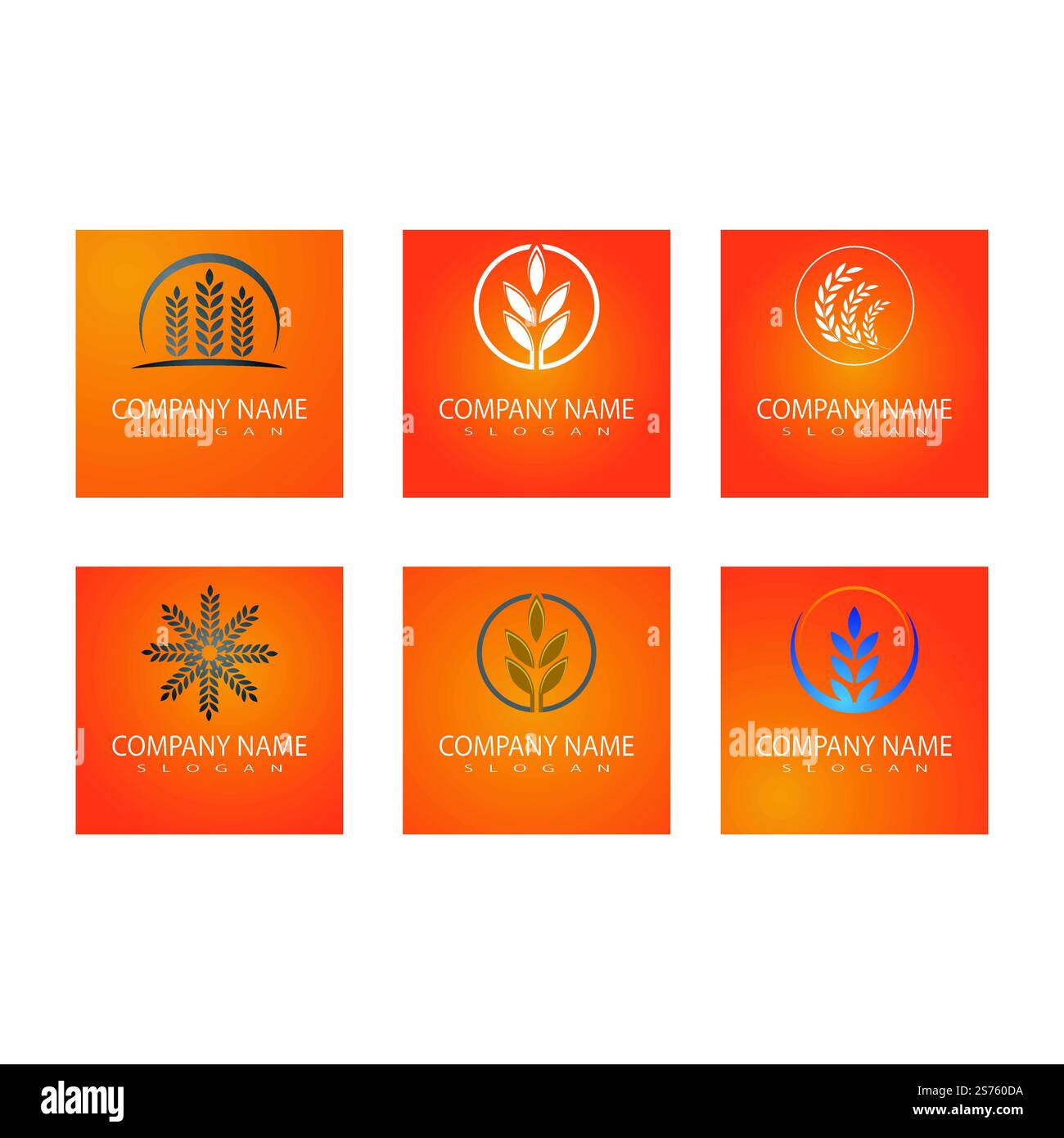 Luxury Golden Grain Weath / Rice Logo Design Vector Stock Vector Image ...