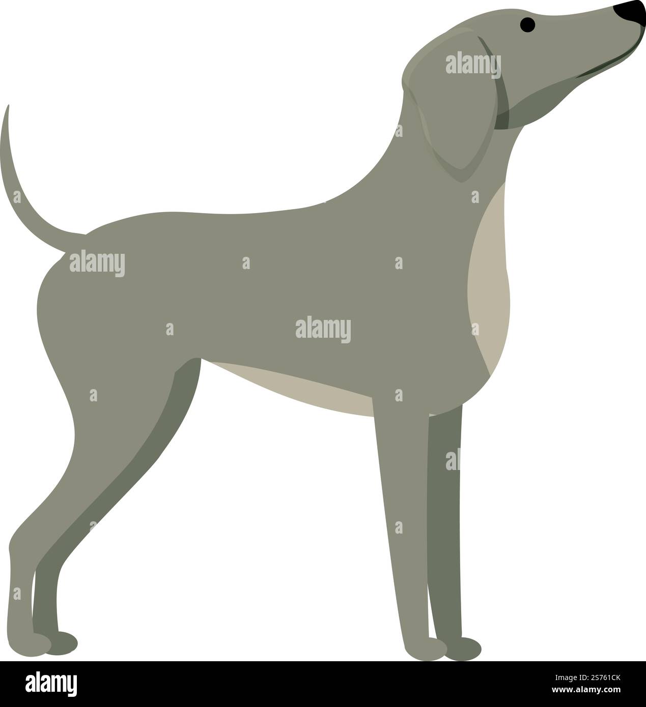 Greyhound waiting food icon cartoon vector. Run animal. Sprint canine ...