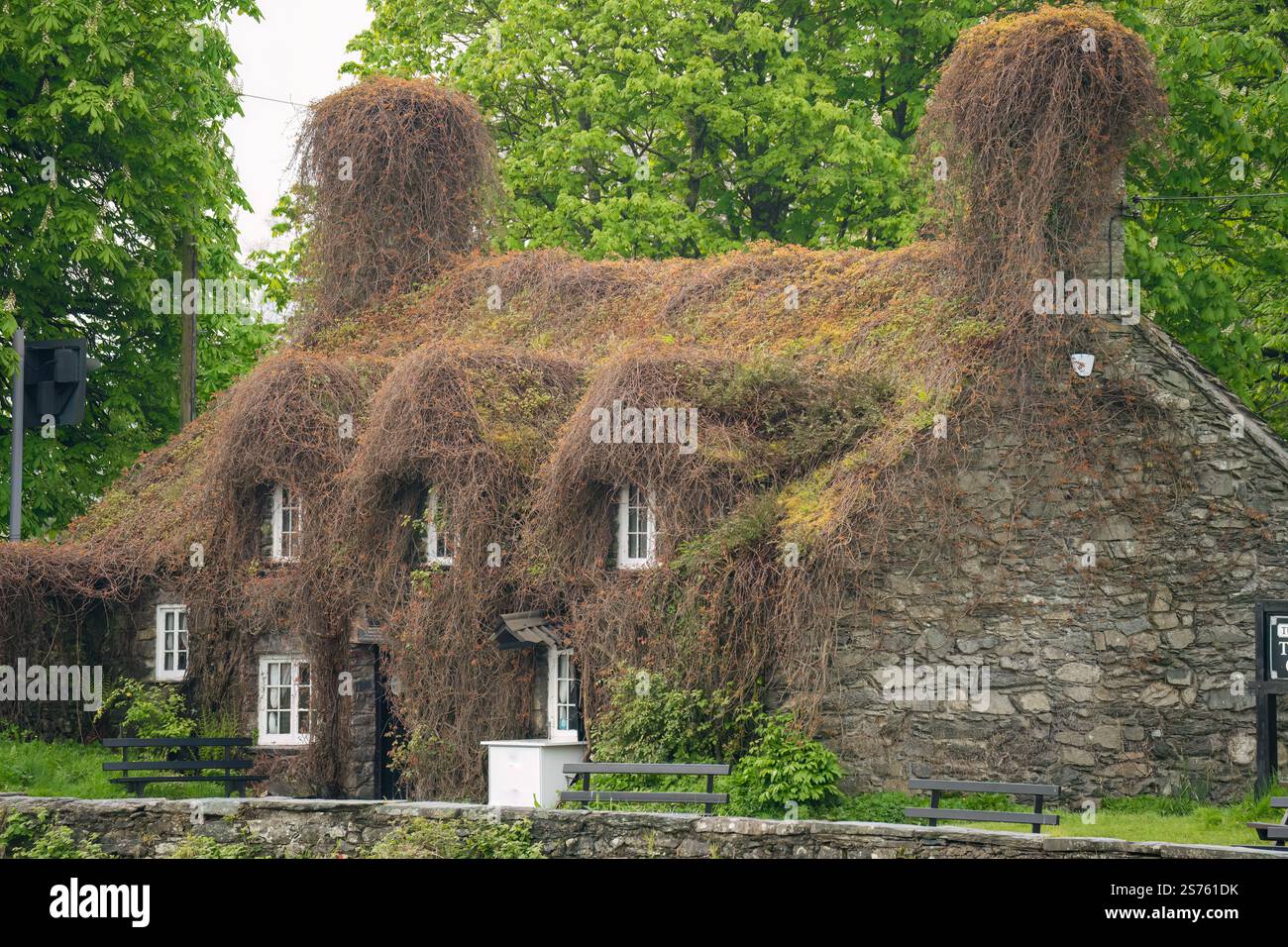 Tu Hwnt I'r Bont Tea Rooms, Llanrwst, North Wales Stock Photo - Alamy