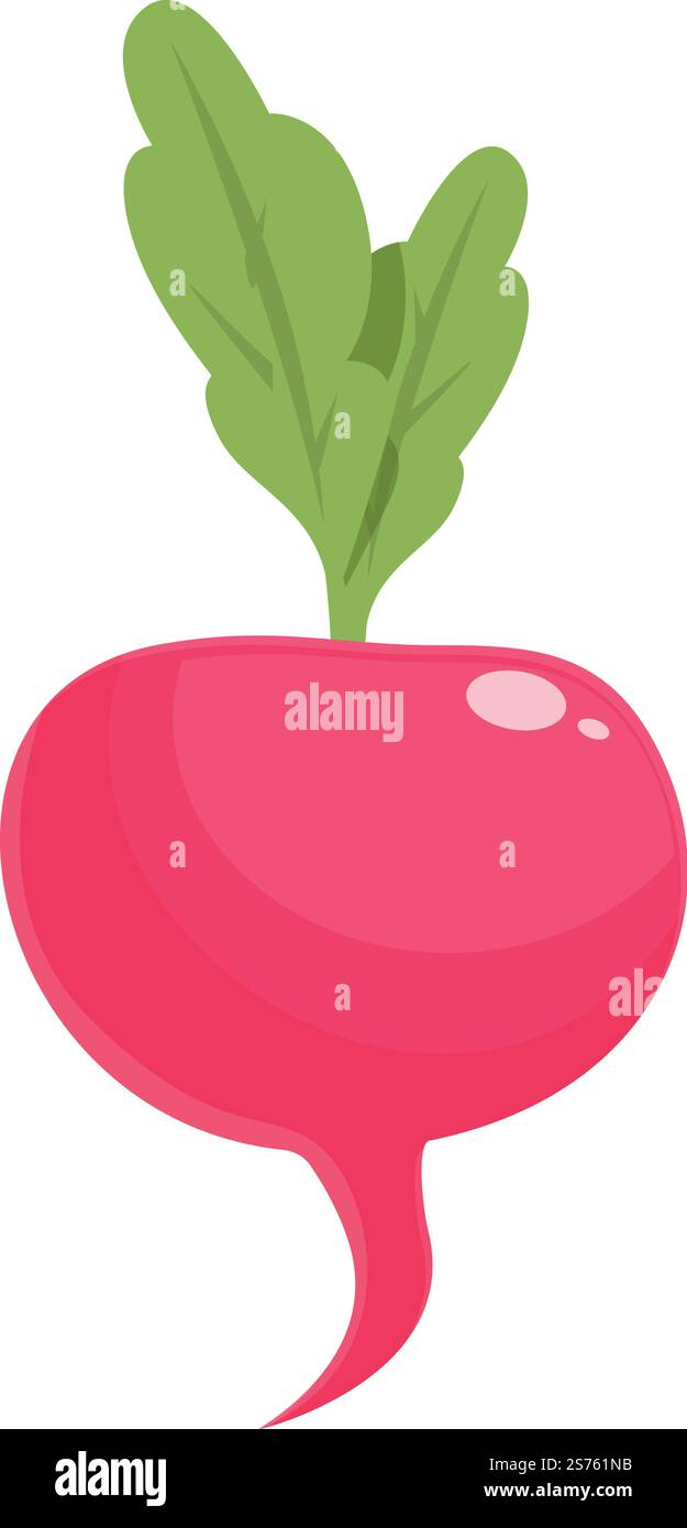 Fresh radish icon cartoon vector. Food plant. Healthy diet. Fresh ...