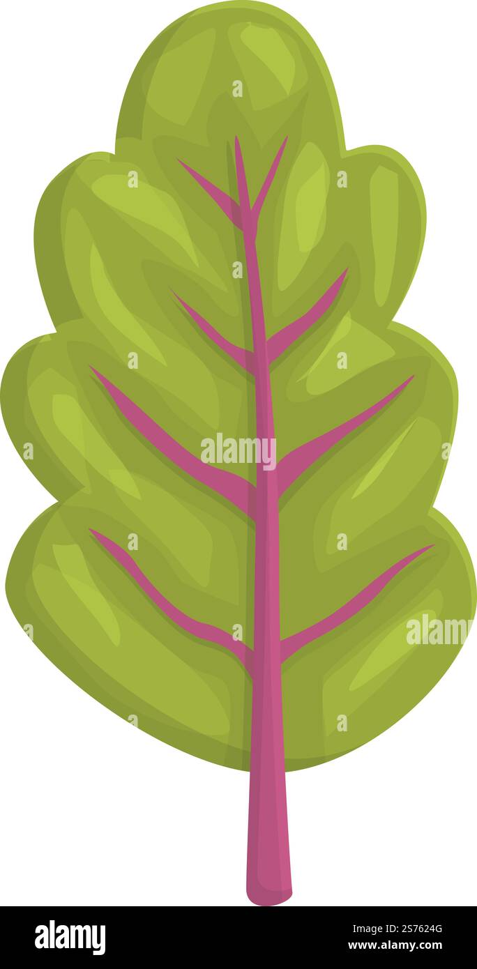 Red green chard icon cartoon vector. Swiss plant. Nature leaf. Red ...