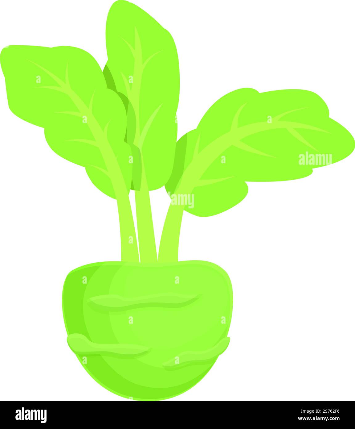 Turnip icon cartoon vector. Vegetable food. Green diet. Turnip icon ...