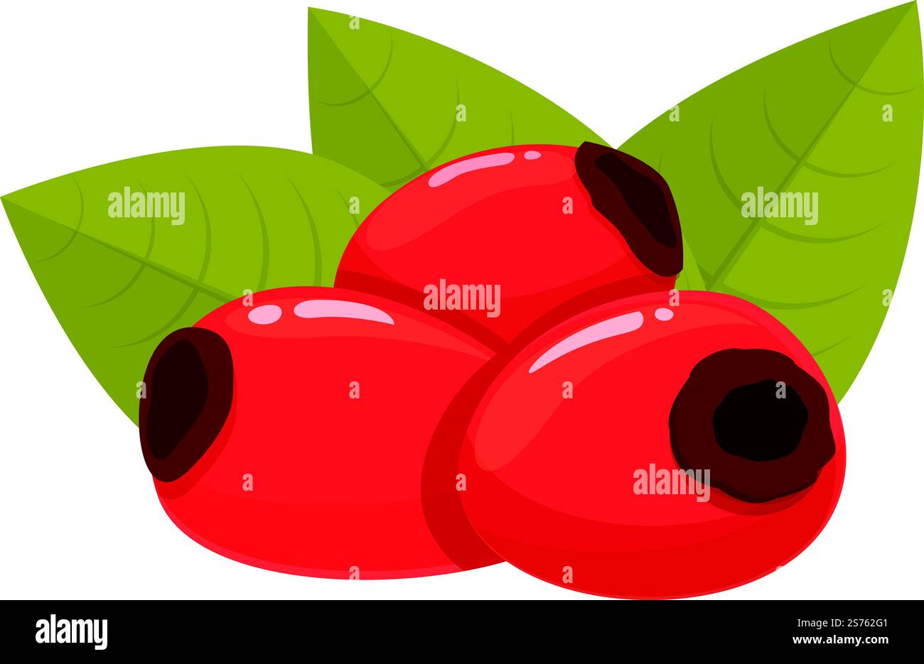 Seed rosehip icon cartoon vector. Food forest. Fruit farm. Seed rosehip ...