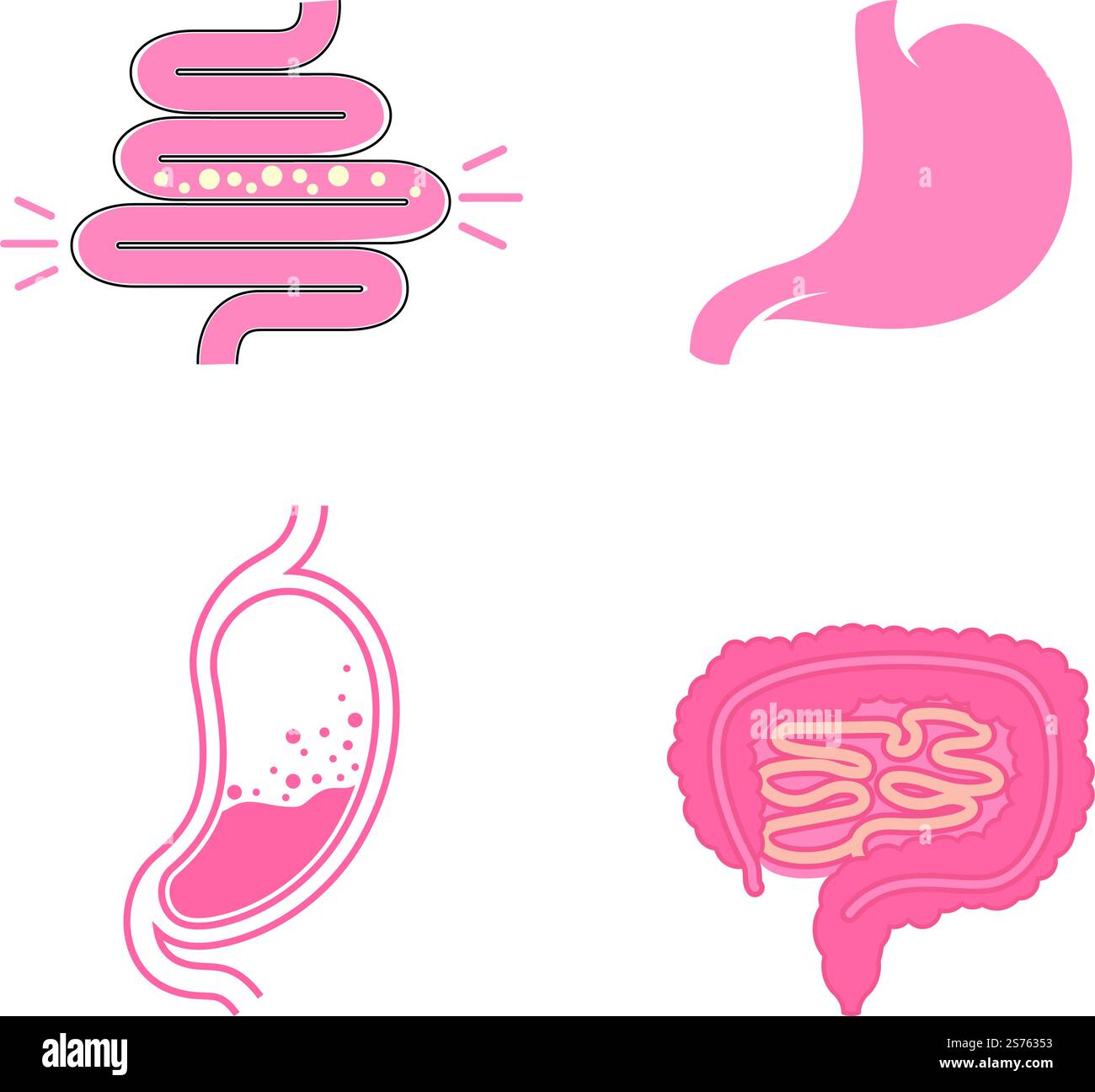 Stomach logo icon illustration vector flat design Stock Vector Image ...