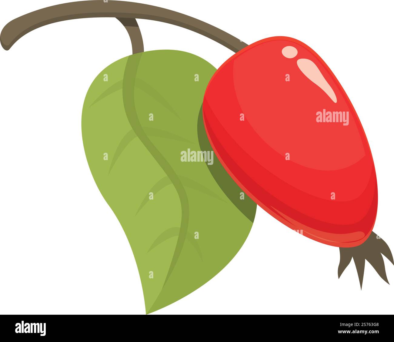 Green rosehip icon cartoon vector. Forest food. Organic vitamin. Green ...