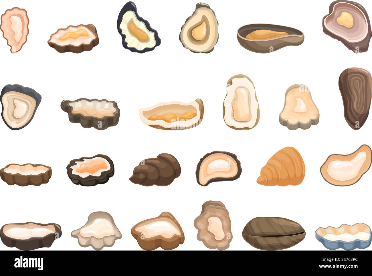Oysters icons set cartoon vector. Seafood shell. Fresh raw. Oysters ...
