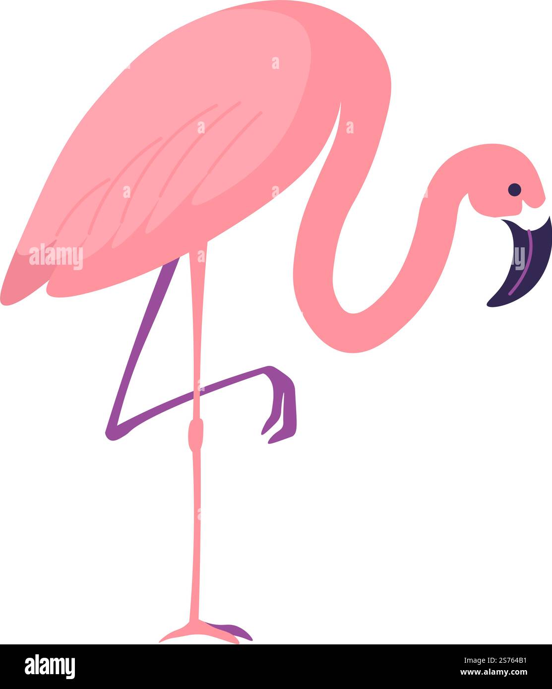 Flamingo bird, isolated tall animal, tropical and exotic fauna and ...