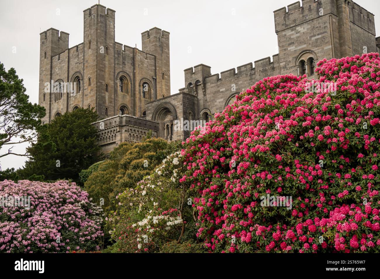 A view of Penrhyn Castle, an extensive medieval country house in ...