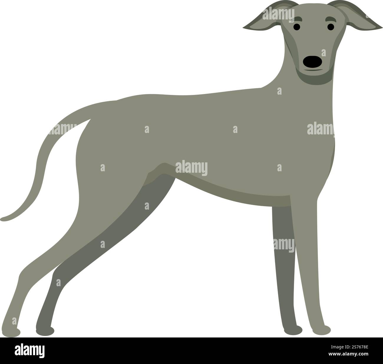 Greyhound run icon cartoon hi-res stock photography and images - Alamy
