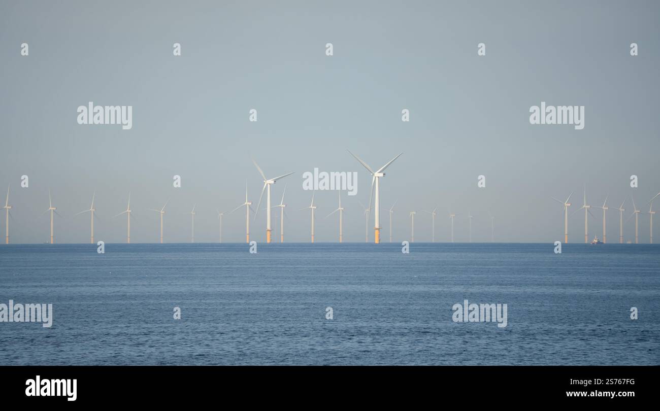 tens of tall wind turbines of an offshore wind farm, in action, Gwynt y ...